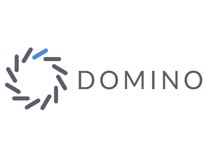 Domino | DataRobot